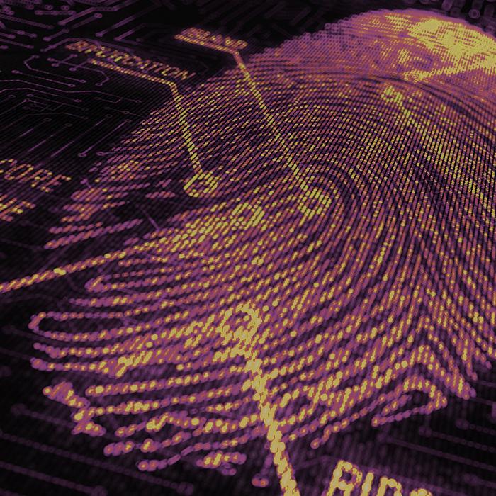 Types of PII and how they're collected