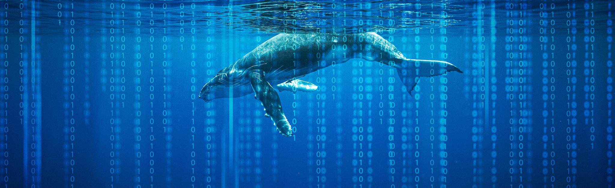 Whaling phishing: Understanding and defending against high-profile ...