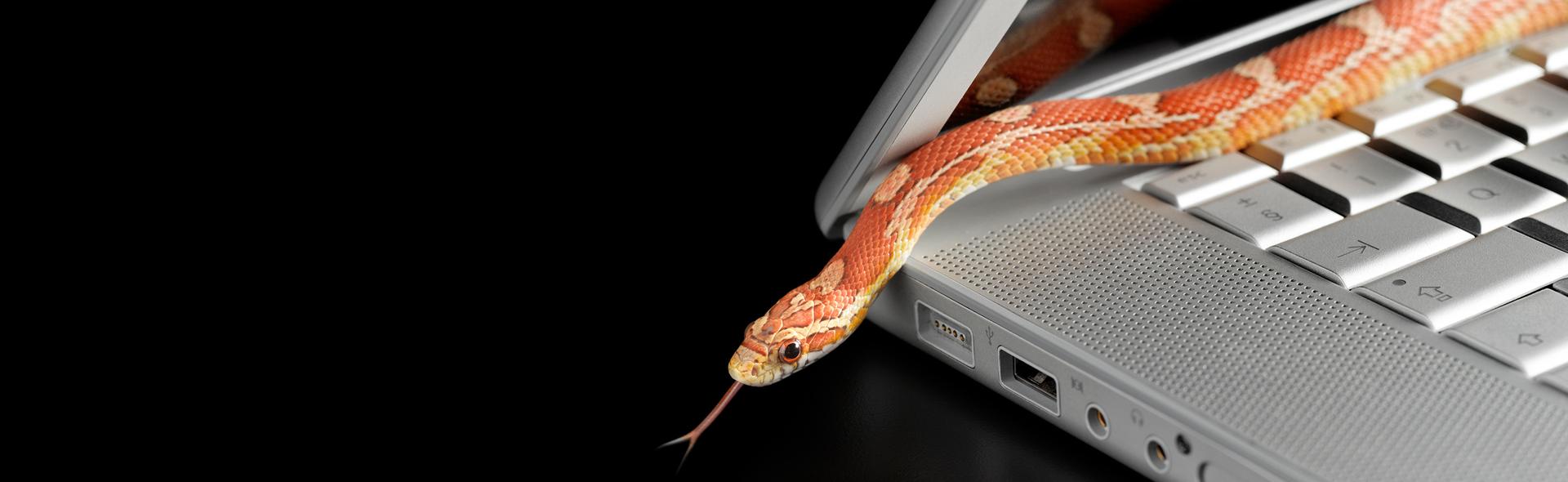 Infostealer Malware The Cross Platform Threat